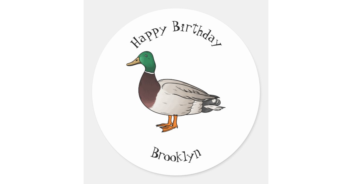 Mallard duck cartoon illustration classic round sticker | Zazzle