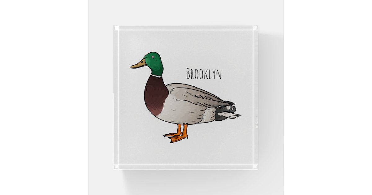 Mallard duck cartoon illustration paperweight | Zazzle