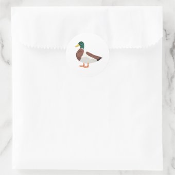 Mallard Duck Classic Round Sticker | Zazzle