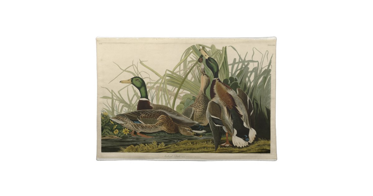 Mallard Duck Cloth Placemat | Zazzle
