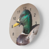 Mallard duck large clock | Zazzle