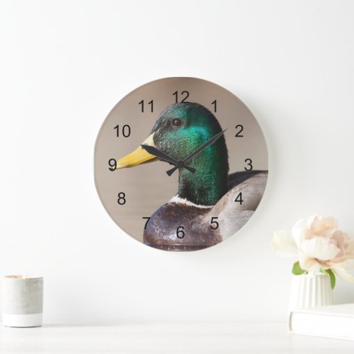 Mallard duck large clock | Zazzle
