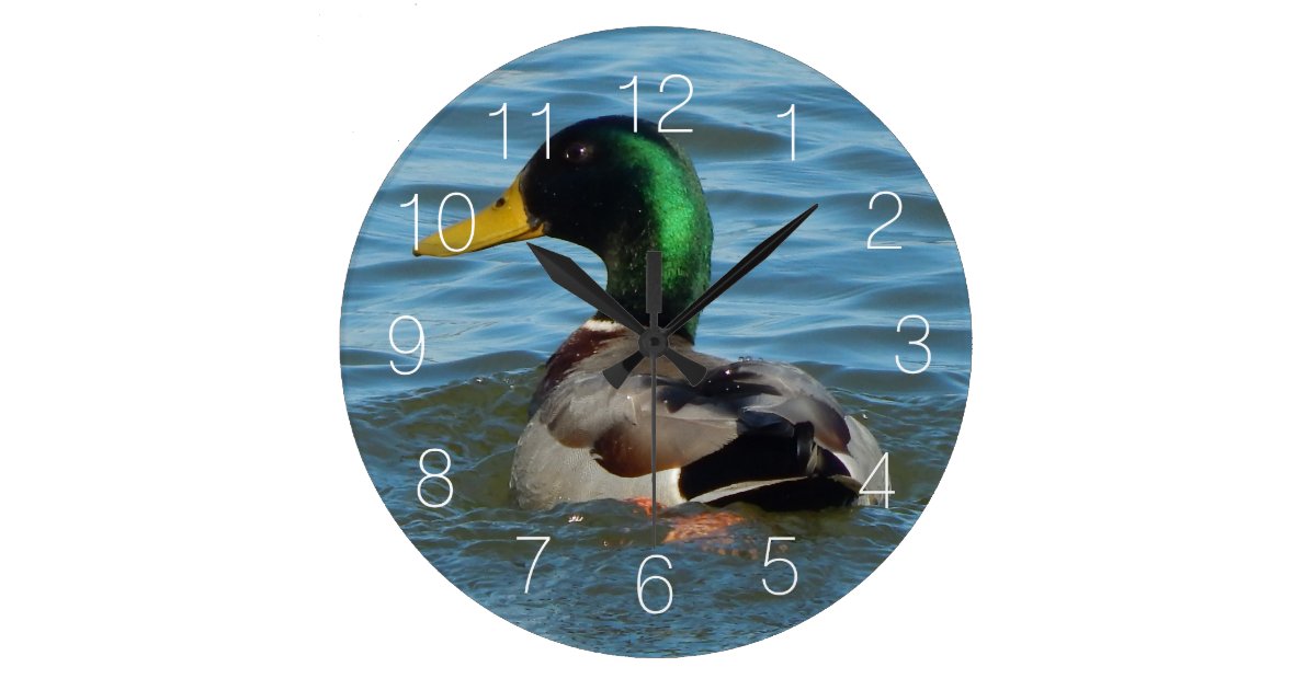 Mallard Duck Large Clock | Zazzle