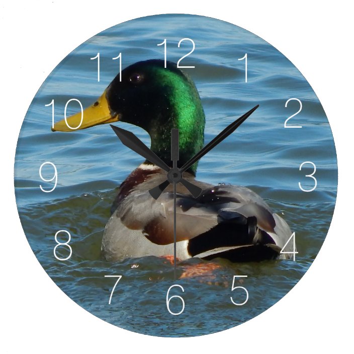 Mallard Duck Large Clock | Zazzle.com