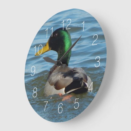 Mallard Duck Large Clock | Zazzle