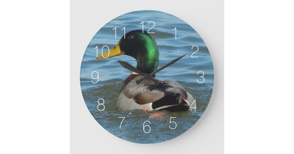 Mallard Duck Large Clock | Zazzle