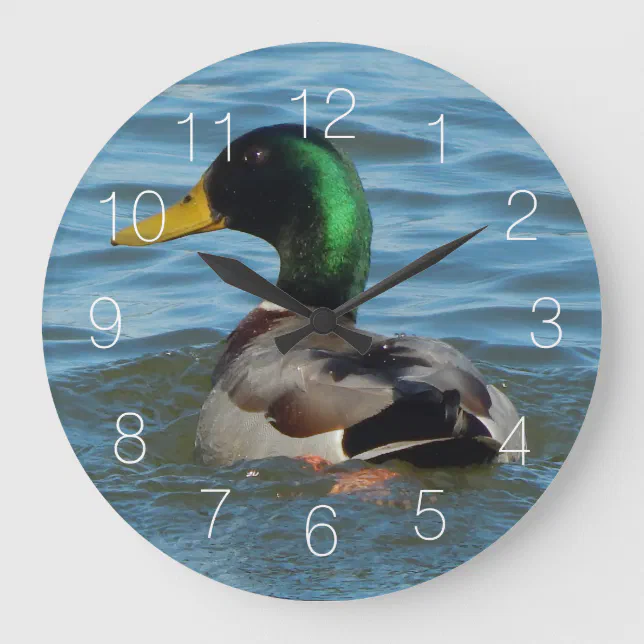 Mallard Duck Large Clock | Zazzle