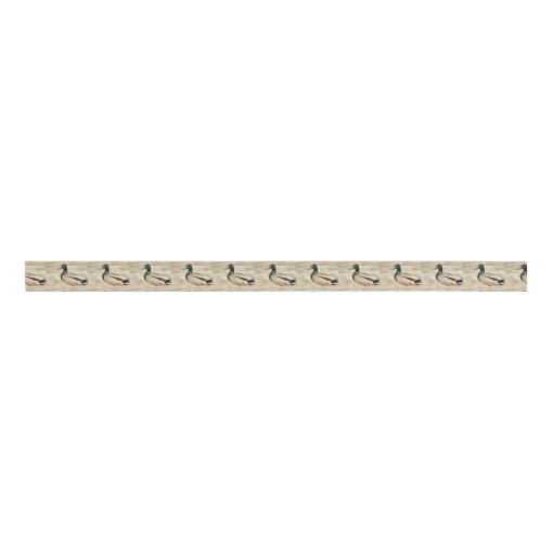 Mallard Duck Photo Grosgrain Ribbon | Zazzle