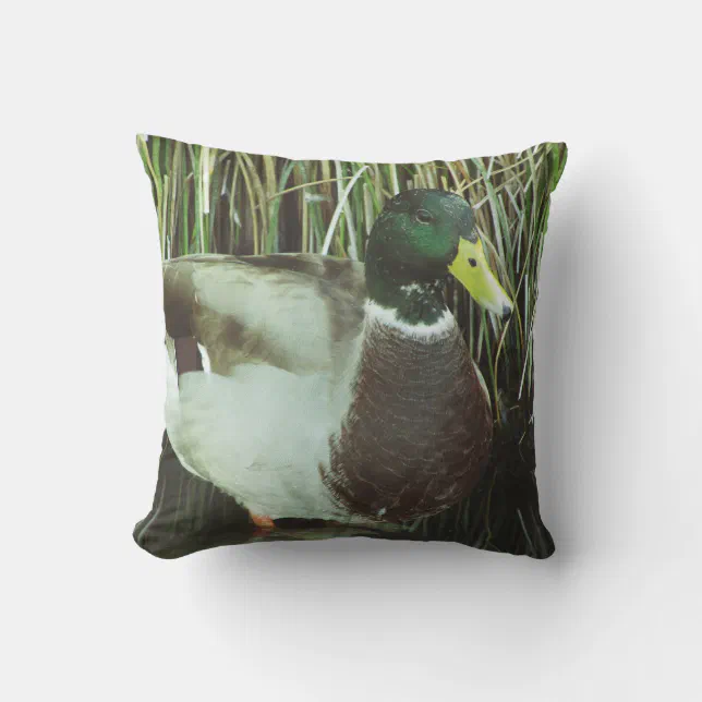 Mallard Duck Photo Male Lake Wildlife Bird Throw Pillow | Zazzle