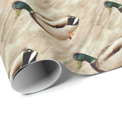 Mallard Duck Photo Wrapping Paper | Zazzle