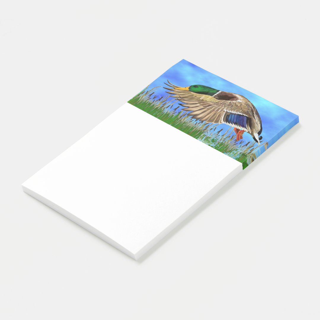 Mallard Duck Post-it Notes | Zazzle