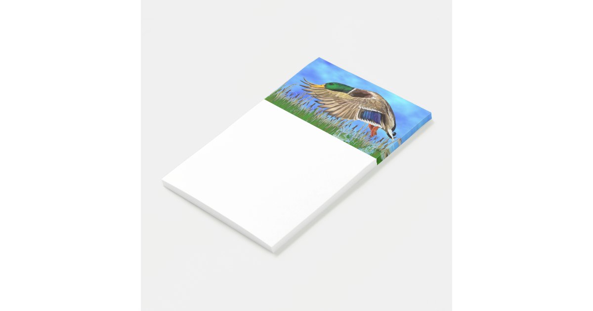 Mallard Duck Post-it Notes | Zazzle