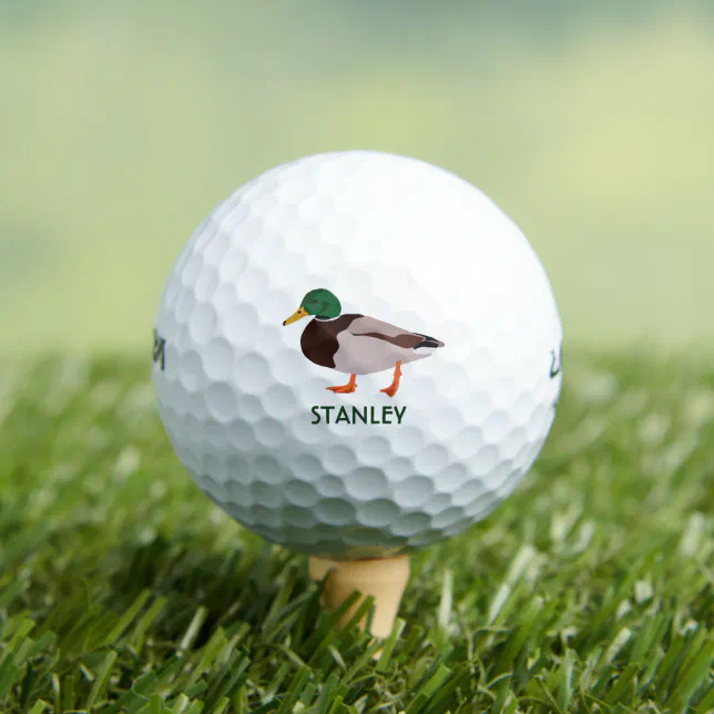 Mallard Duck Realistic Illustration Personalized Golf Balls | Zazzle