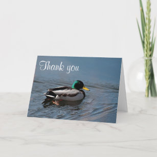 Duck Thank You Cards | Zazzle