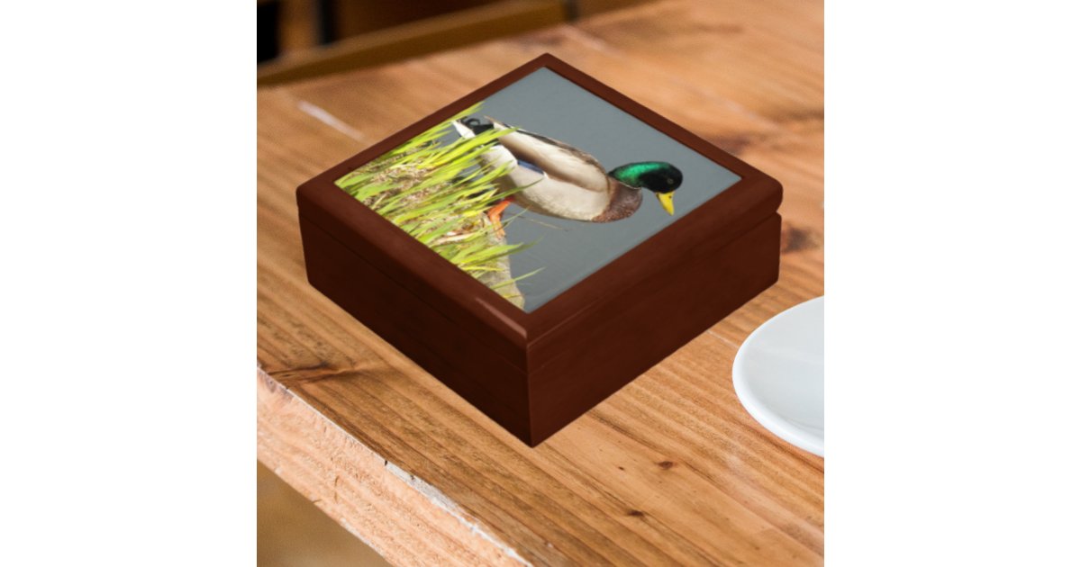 Mallard Duck Wildlife Photo Gift Box | Zazzle