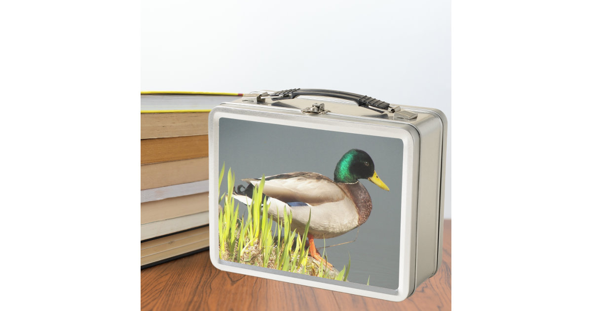Mallard Duck Wildlife Photo Metal Lunch Box | Zazzle