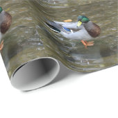 Mallard Duck Wrapping Paper | Zazzle