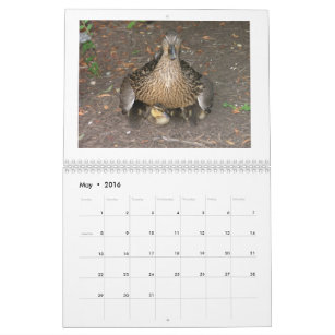 Duck Calendars | Zazzle