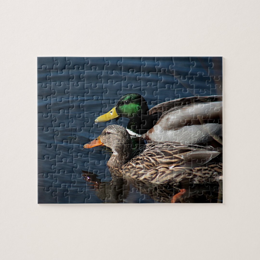 Mallard ducks jigsaw puzzle | Zazzle