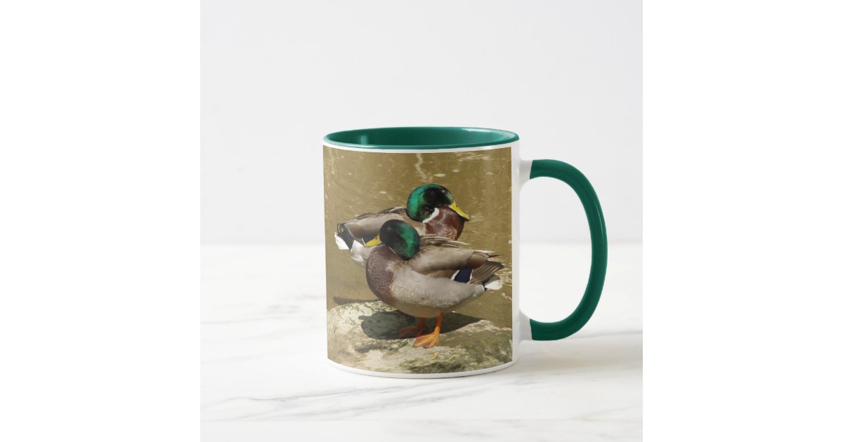 Mallard Ducks Mug | Zazzle