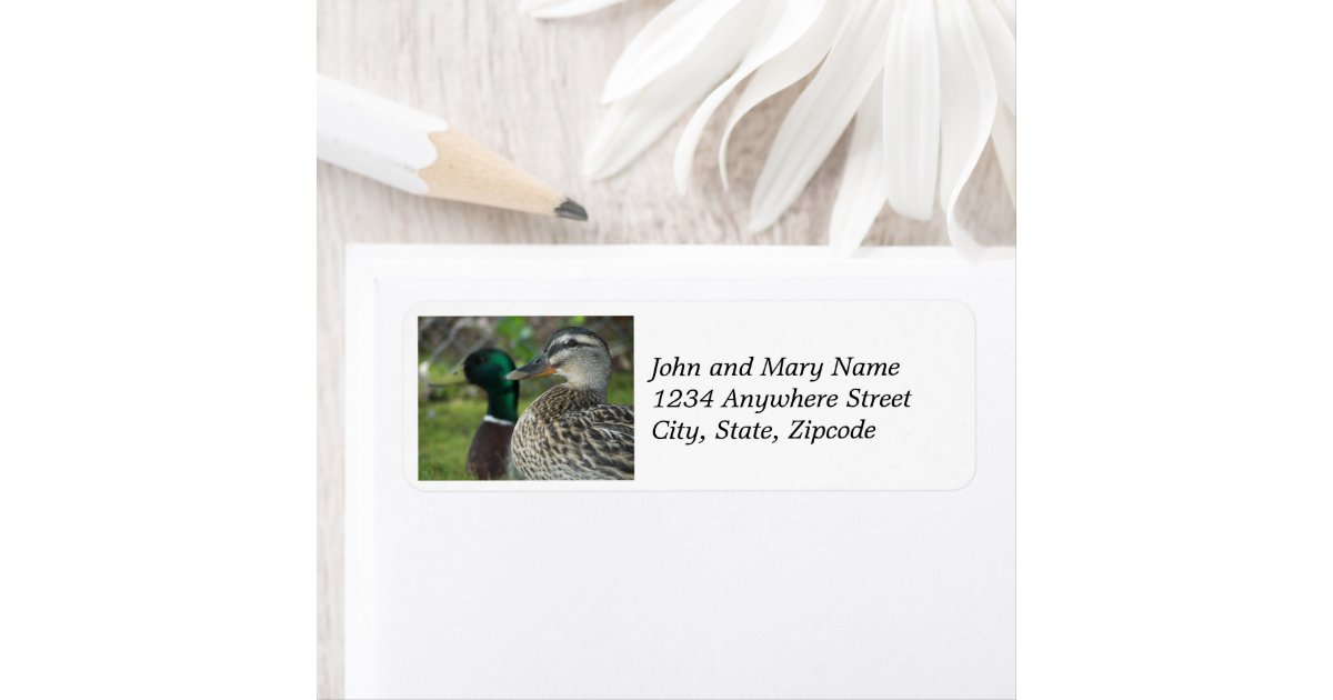 Mallard Ducks Nature Photo Return Address Label | Zazzle