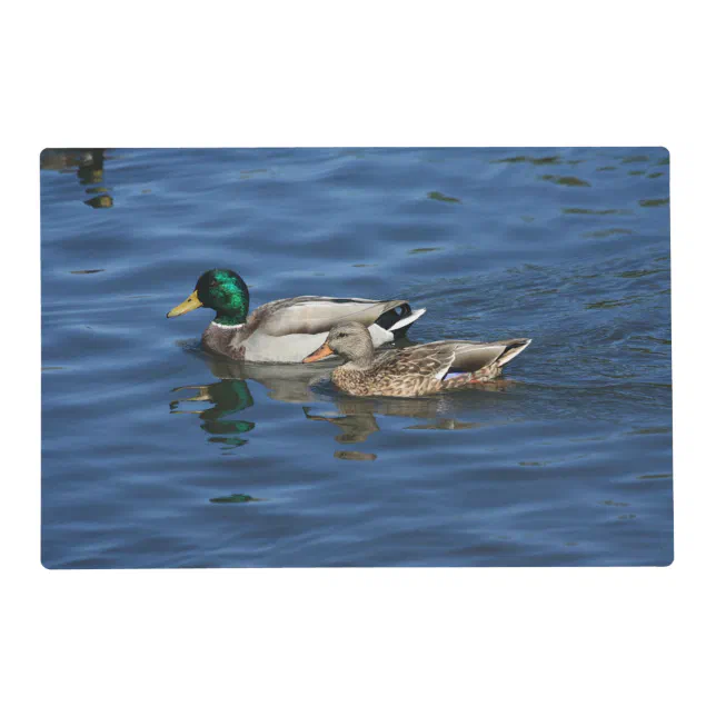 Mallard Ducks Placemat | Zazzle