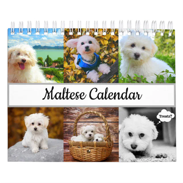 Maltese Calendar | Zazzle