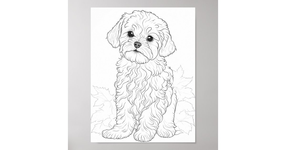 Maltese Dog Adult Coloring Poster | Zazzle