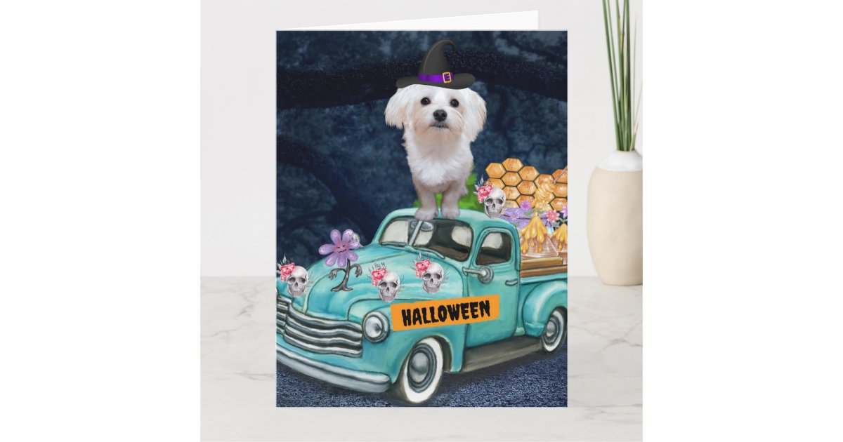 Maltese Dog Halloween Truck Scary Night Card | Zazzle