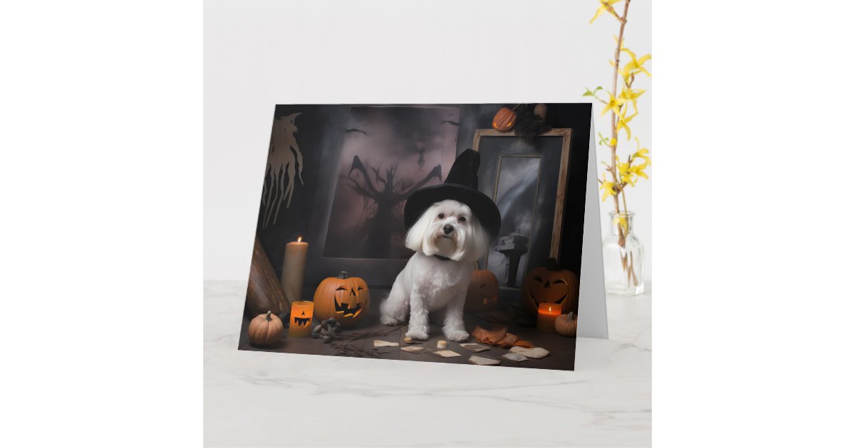 Maltese Pumpkins Halloween Scary Card | Zazzle