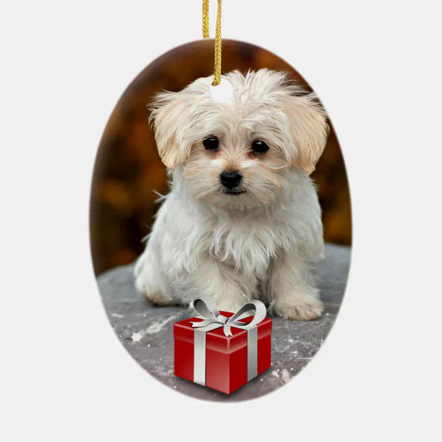 Maltese Puppy at Christmas Ceramic Ornament | Zazzle