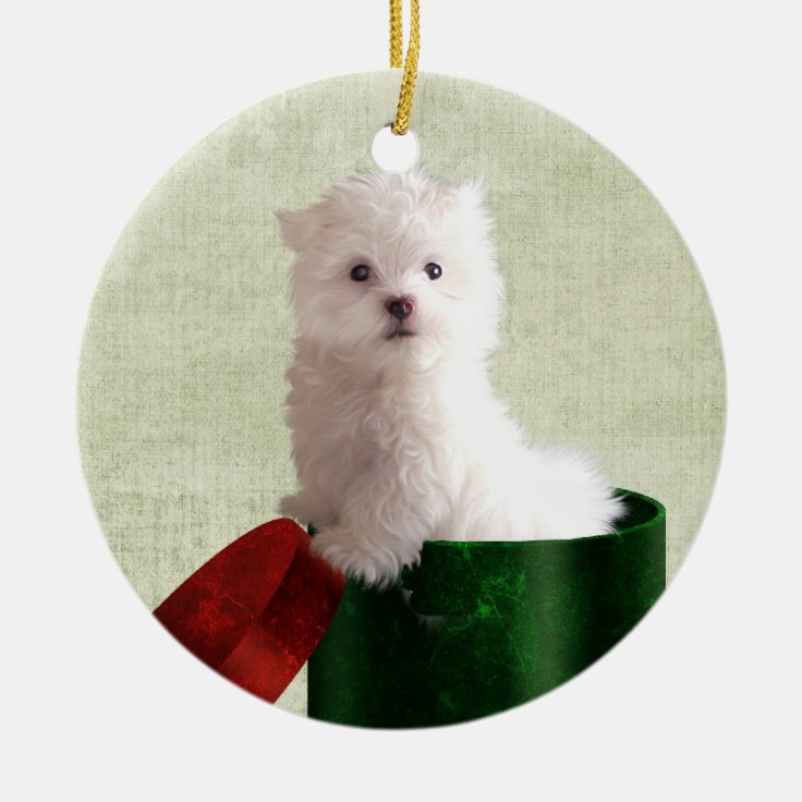 Maltese puppy Christmas Ceramic Ornament | Zazzle