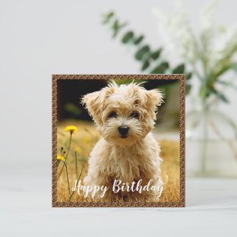 Maltese Puppy Happy Birthday Card | Zazzle