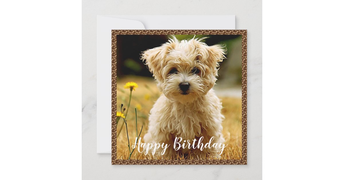 Maltese Puppy Happy Birthday Card | Zazzle