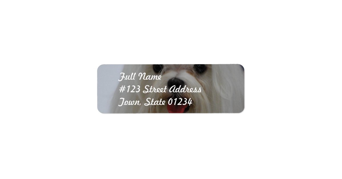 Maltese Puppy Mailing Labels | Zazzle