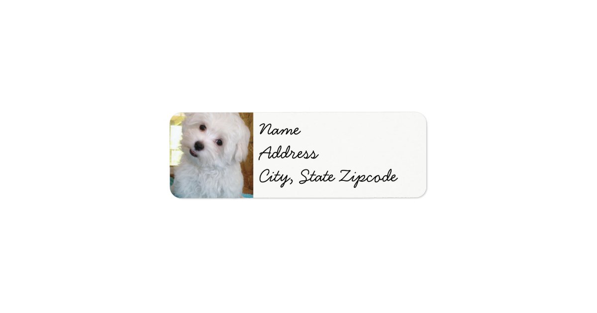 maltese Puppy sticker labels | Zazzle