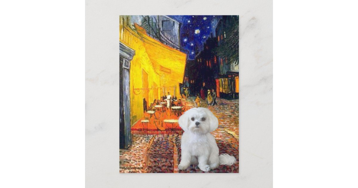 Maltese (R) - Terrace Cafe Postcard | Zazzle
