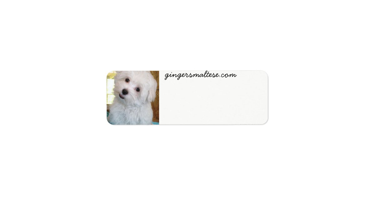 maltese sticker labels | Zazzle