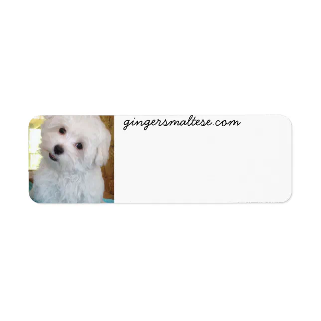 maltese sticker labels | Zazzle