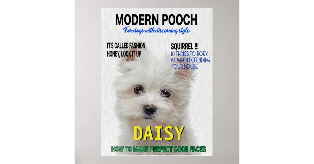 Maltese Terrier Parody Magazine Cover Poster | Zazzle