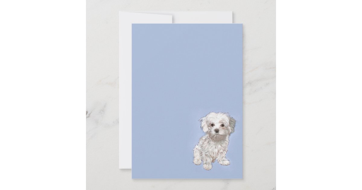 Maltese Themed Note Card | Zazzle