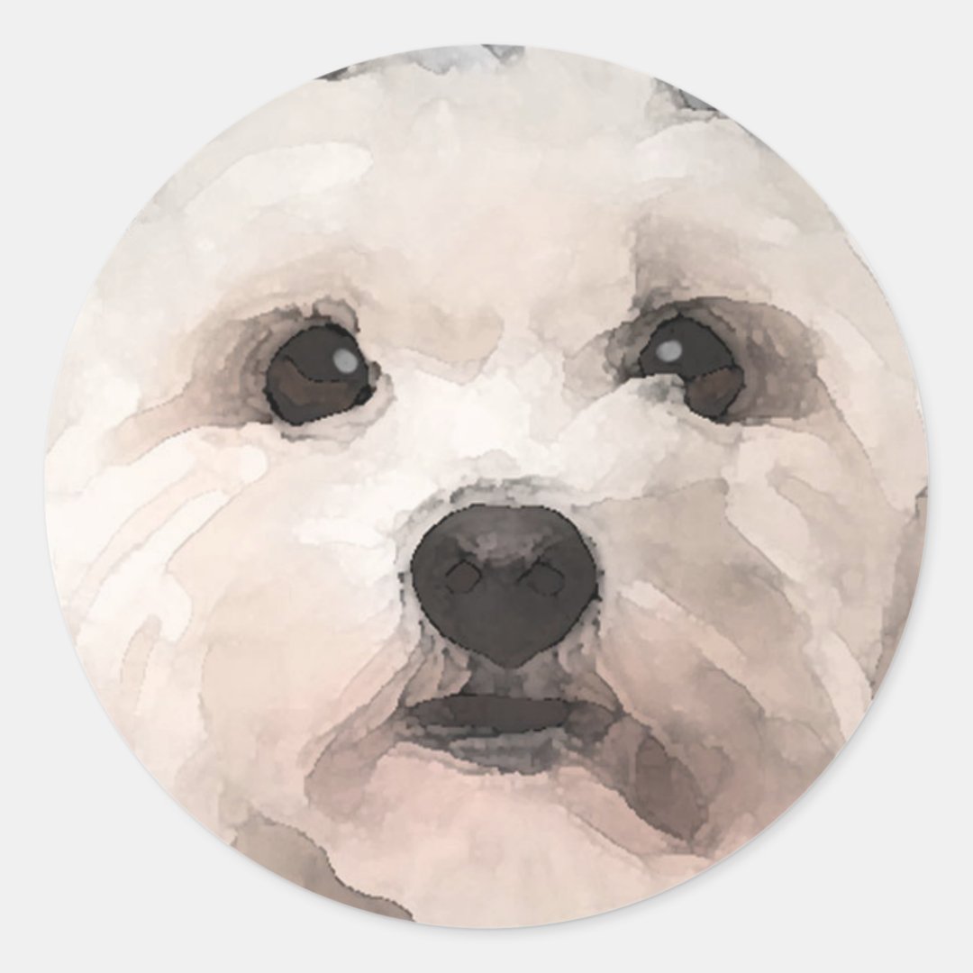 Maltipoo Classic Round Sticker | Zazzle