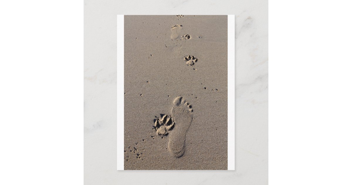 Man and dog footprints best friends postcard | Zazzle