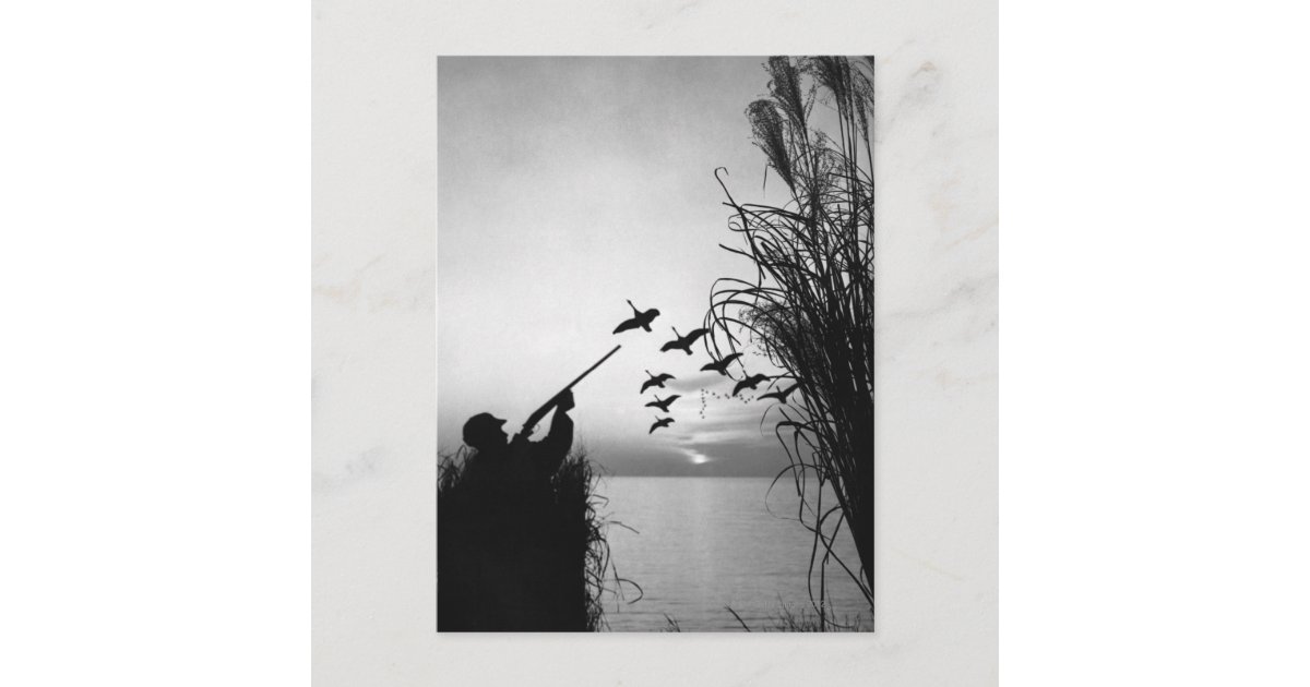 Man Duck Hunting Postcard | Zazzle
