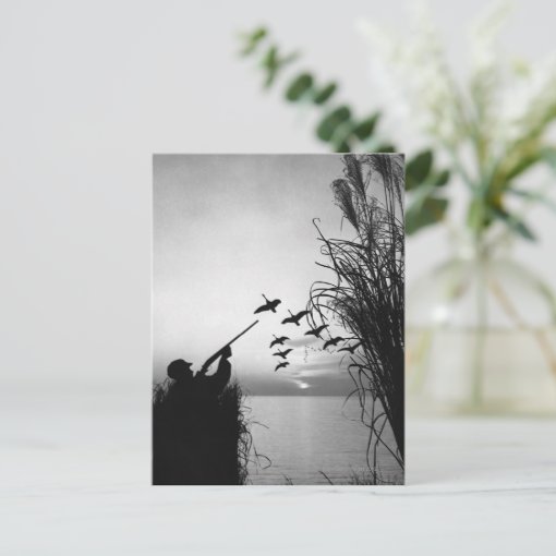 Man Duck Hunting Postcard | Zazzle