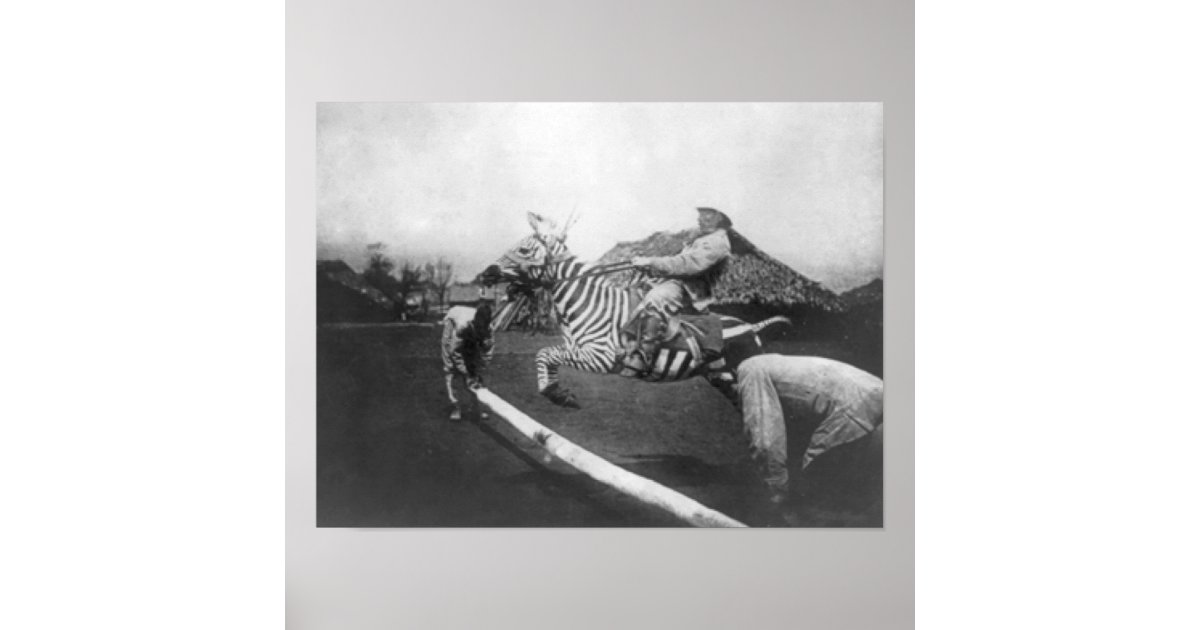 Man Riding Zebra Jumping Fence Photograph Poster | Zazzle