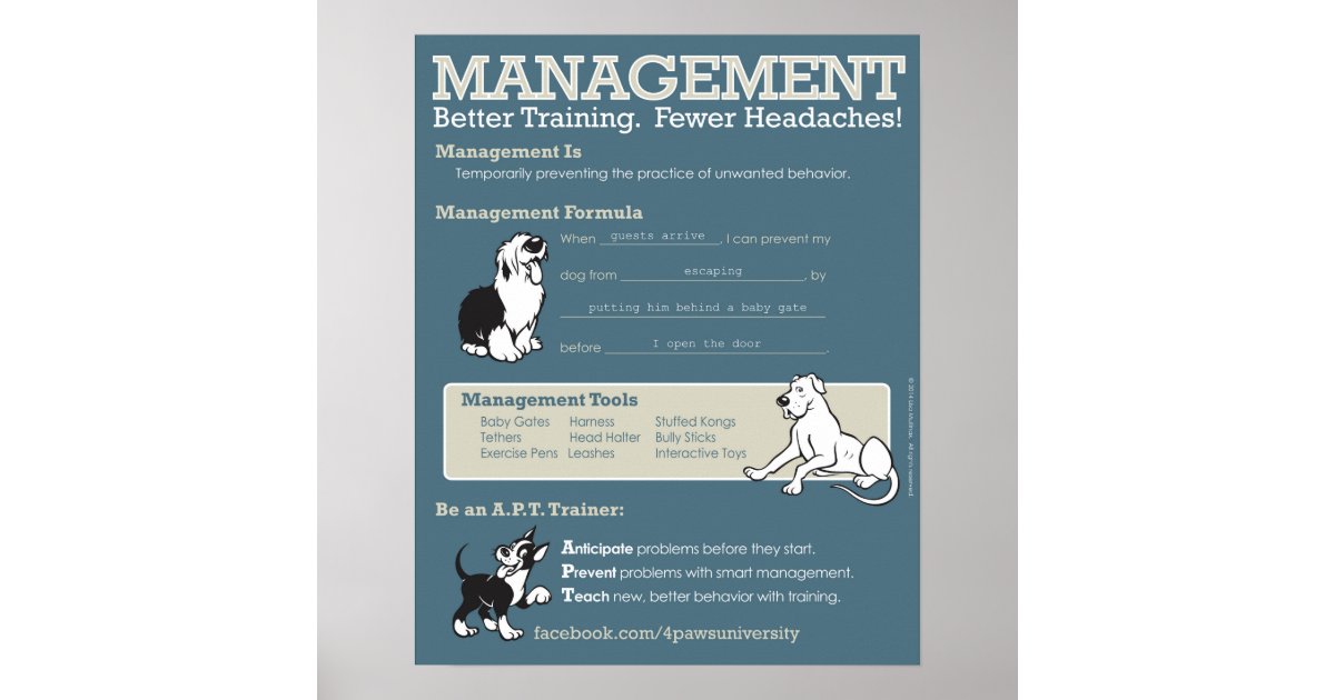 Management Poster | Zazzle