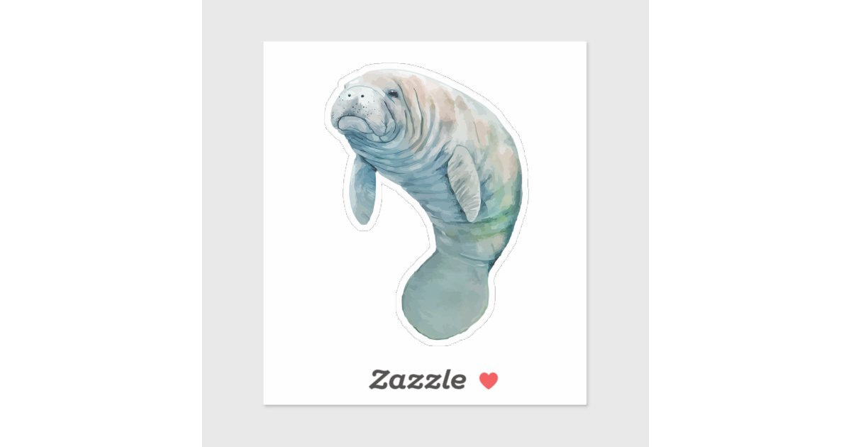 Manatee Floating in the Water Sticker | Zazzle