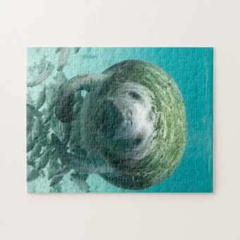 Manatee Florida. Jigsaw Puzzle | Zazzle