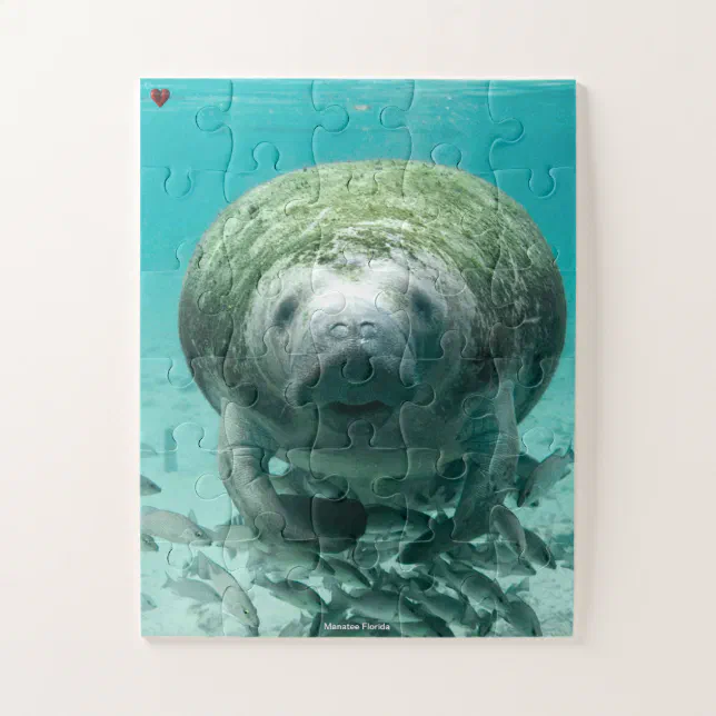 Manatee Florida Jigsaw Puzzle | Zazzle